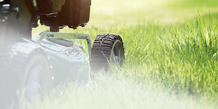 DuraScape® Australia | Certified Seed Blends | PGG Wrightson Turf