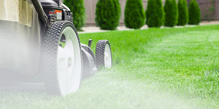 DuraScape® NZ | Certified Seed Blends | PGG Wrightson Turf